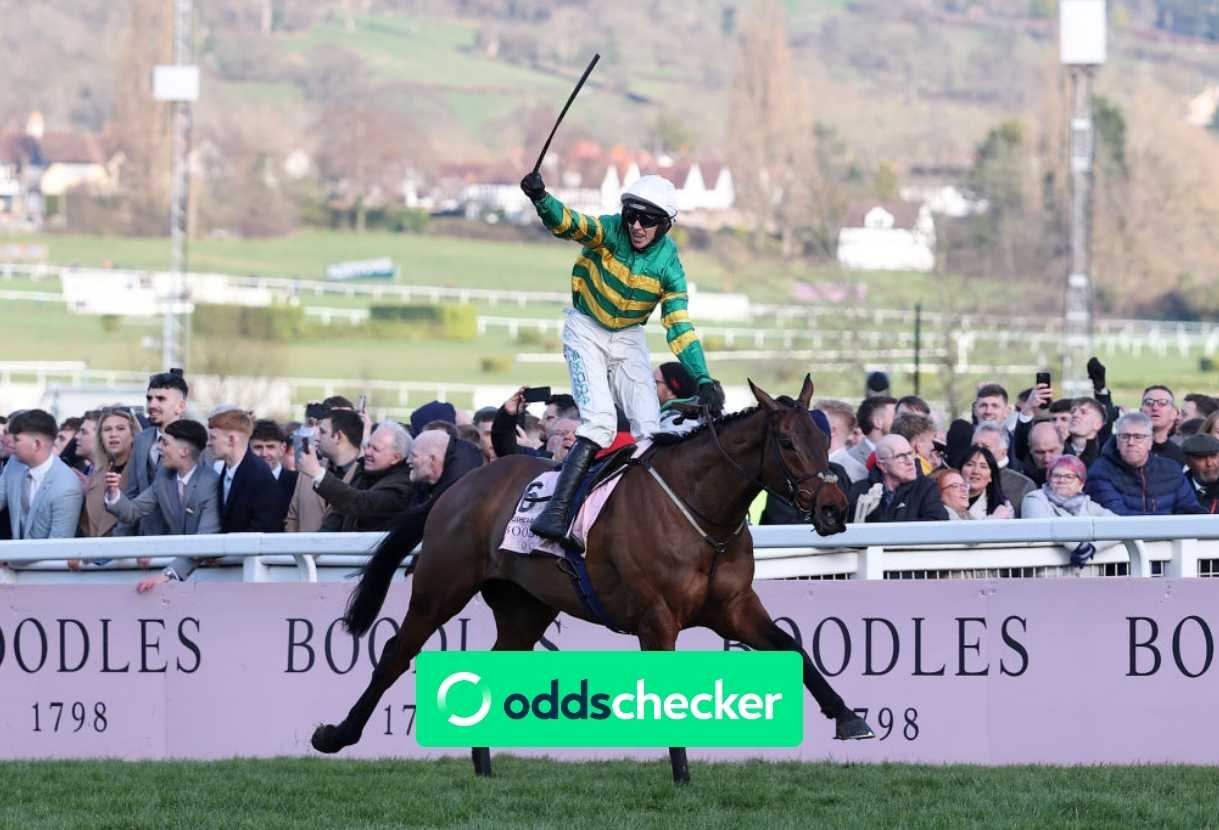 Cheltenham Gold Cup 2026: Odds, Betting Tips & Race Trends | Oddschecker