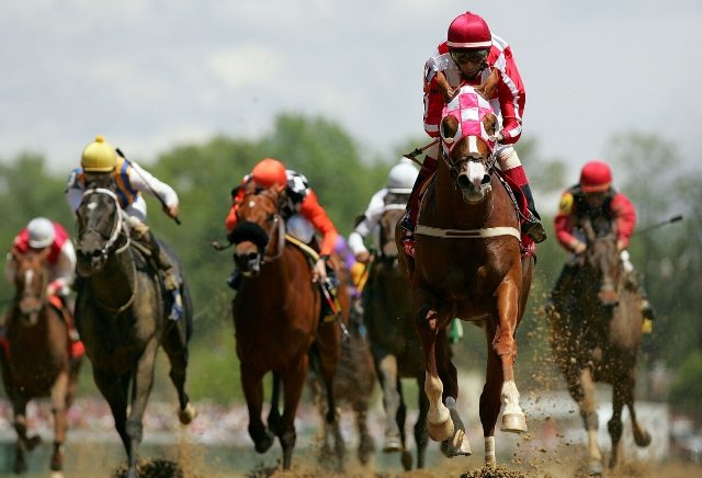 Saturday's Money Horse through oddschecker | Oddschecker