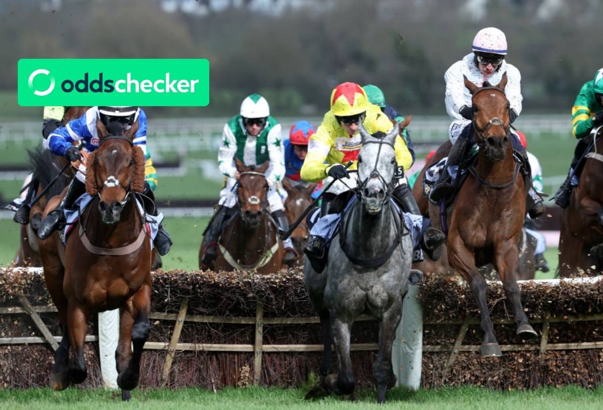 County Hurdle Winners, Trends, Betting Tips & Race Prediction | Oddschecker