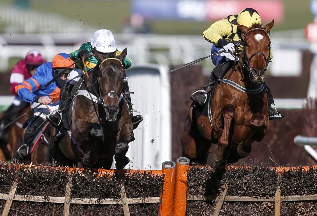 The top ten most backed horses for Cheltenham Festival | Oddschecker