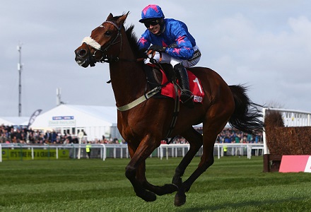 Saturday Money Horse through Oddschecker