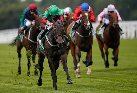 Friday's Money Horse through Oddschecker