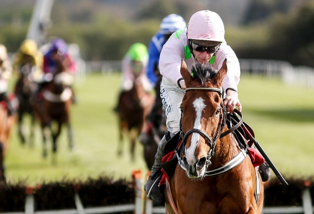 Irish Racing: Latest Fixture List and Andy Holding Update | Oddschecker
