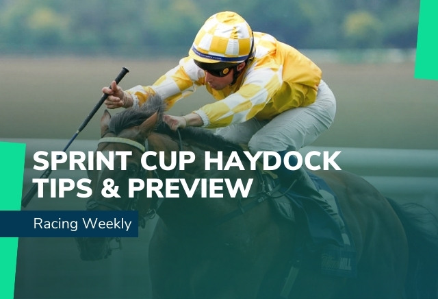 Sprint Cup Haydock 2022: Tips, Runners & Prediction | Oddschecker